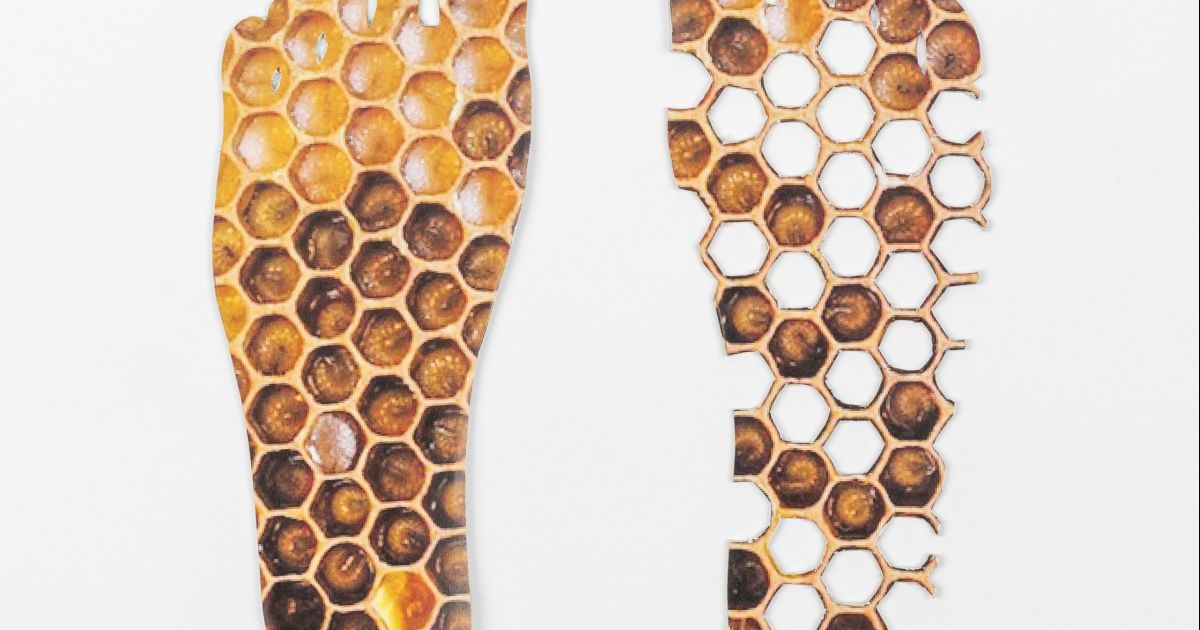 Ben Carter (UK), 2021-22 - WW+